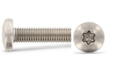 Iso 14583 rustfri syrefast A4 panhoved torx maskinskrue